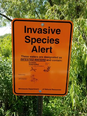 STARING LAKE PARK - 67 Photos - Parks - 14800 Pioneer Trl, Eden Prairie ...