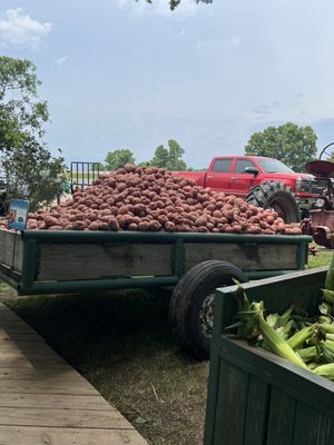 ED LESTER FARMS - Updated December 2025 - 36 Photos - 1165 Hwy 84 E ...