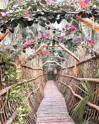 TANTRA TULUM BEACH CLUB - Updated April 2024 - 12 Photos - Carr. Tulum ...