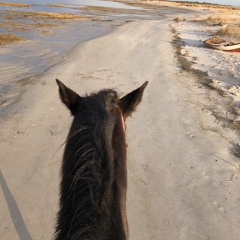 CEDAR ISLAND RANCH - Updated January 2026 - 95 Photos & 13 Verified ...