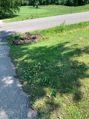 ROCK SPRING GOLF COURSE - Updated December 2024 - 101 E 3rd St, Alton ...