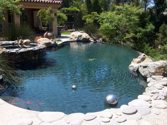 PURPLE HEART POOLS - Updated May 2026 - 11 Photos & 11 Reviews - 6817 ...