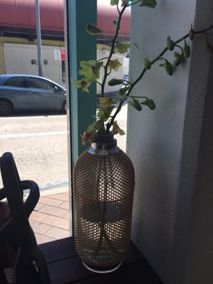 DARCY STREET PROJECT - Updated April 2025 - 14 Photos - 24 Darcy St ...