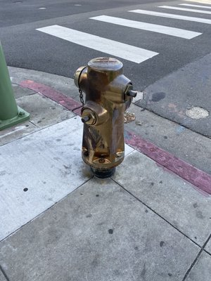 THE GOLDEN FIRE HYDRANT - Updated July 2025 - 11th & Webster, Oakland ...