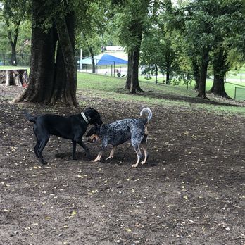 SEVIERVILLE PETSAFE UNLEASHED DOG PARK - Updated May 2024 - 19 Photos & 19 Reviews - 120 Gary ...