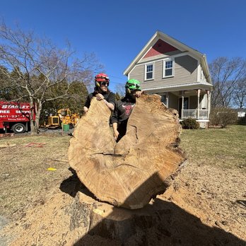STANLEY TREE SERVICE - Updated October 2025 - 16 Photos & 59 Reviews ...