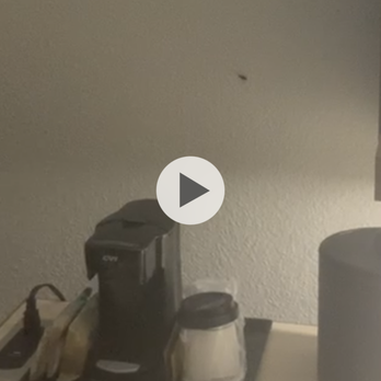 COURTYARD DALLAS ADDISON/QUORUM DRIVE - Updated September 2025 - 65 ...