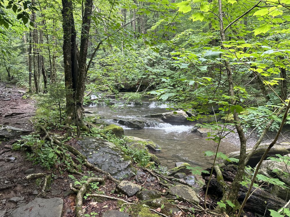 DIAMOND NOTCH FALLS - 2679 Spruceton Rd, West Kill, New York - Hiking ...