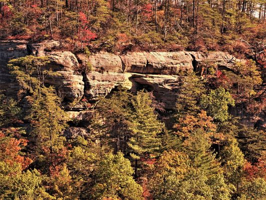 NATURAL BRIDGE SKY LIFT - Updated December 2024 - 84 Photos & 10 ...