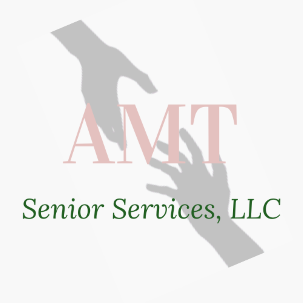 AMT SENIOR SERVICES - Updated August 2024 - Jacksonville, Florida ...