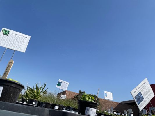 CAL POLY POMONA FARM STORE - 727 Photos & 193 Reviews - 4102 S ...