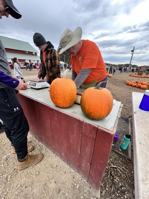 SCHUSTER’S FARM - Updated May 2026 - 106 Photos & 32 Reviews - 1326 US ...