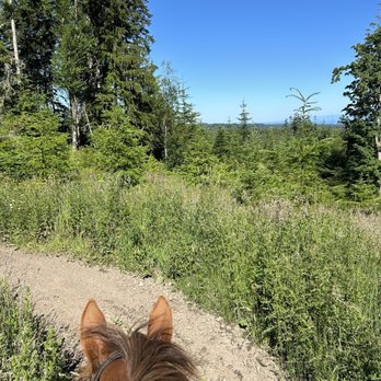 RED HAWK STABLES - Updated October 2025 - 22 Photos & 16 Reviews - 1445 ...