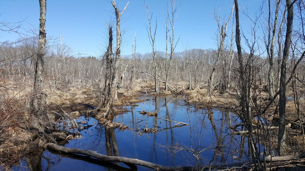 BROOK FARM HISTORIC SITE - Updated October 2025 - 670 Baker St, Boston ...