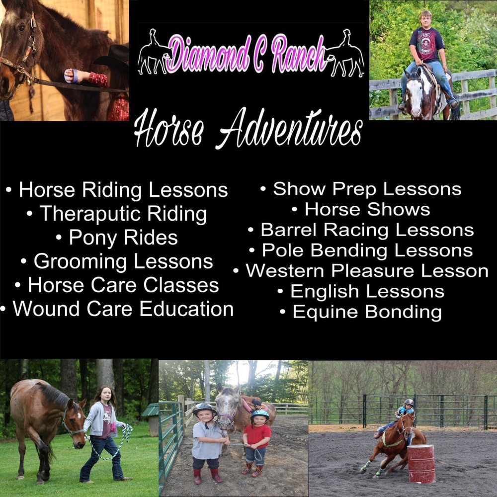 DIAMOND C RANCH - Updated January 2026 - 769 White Oak Rd, Danese, West ...