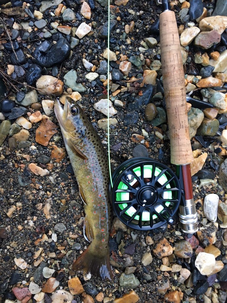 FISH TECH OUTFITTERS - Updated August 2025 - 28 Reviews - 6153 Highland ...