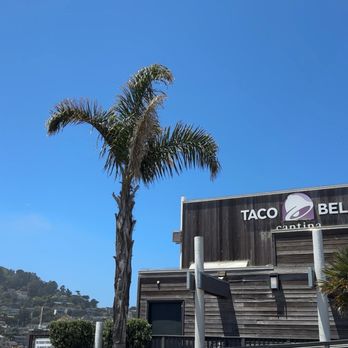 TACO BELL - Updated July 2024 - 1220 Photos & 685 Reviews - 5200 Coast ...