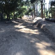 BERKELEY FIRE TRAILS - Updated September 2025 - 459 Photos & 109 ...