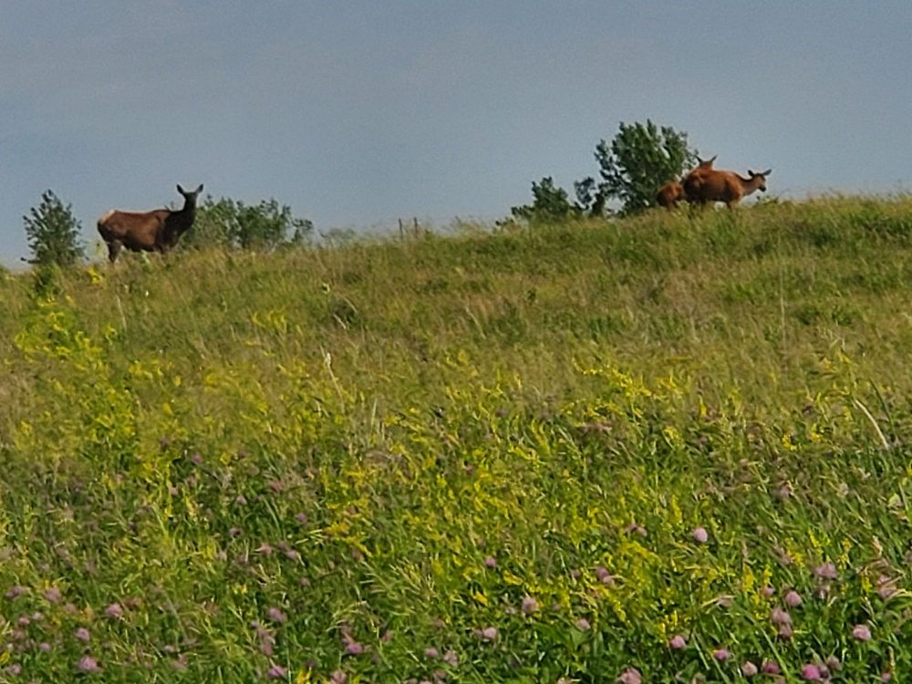 Neal Smith National Wildlife Refuge, Prairie City | Roadtrippers