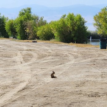 BUENA VISTA LAKE - Updated January 2026 - 96 Photos & 54 Reviews - Enos ...