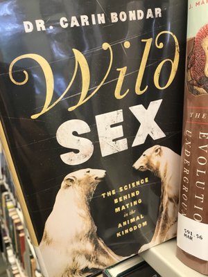 WELLS BRANCH COMMUNITY LIBRARY - Updated October 2025 - 30 Photos & 35 ...