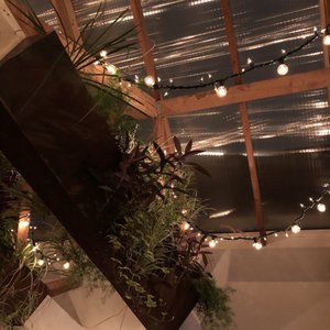 BAR SUZANNE - 91 Photos & 45 Reviews - 20 Avenue Duluth E, Montréal, QC ...