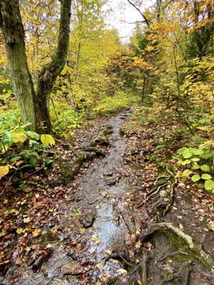 TABLE ROCK TRAIL - Updated October 2025 - 24 Photos - 30 Mountain View ...
