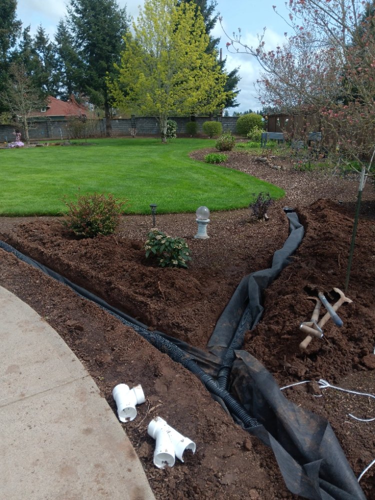 Mid Valley Drain - Updated October 2025 - 25 Photos - 1787 Talbot Rd ...