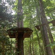 GO APE ZIPLINE & ADVENTURE PARK - 126 Photos & 83 Reviews - 5537 ...