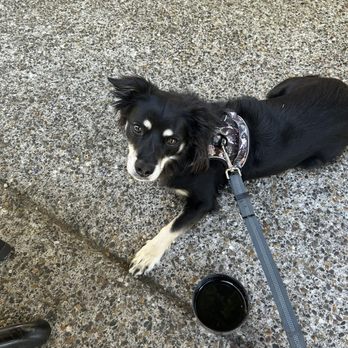 KIN WINDSOR Windsor, CA - Updated November 2024 - 862 Photos & 860 ...