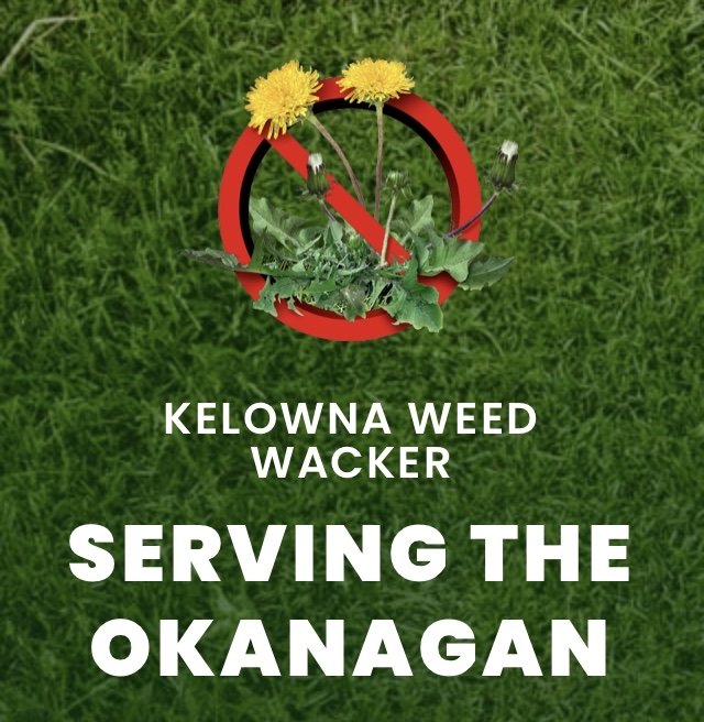 THE KELOWNA WEED WACKER - Updated February 2025 - Request a Quote ...