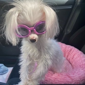 VRC - Updated July 2025 - 44 Photos & 147 Reviews - 340 Lancaster Ave ...