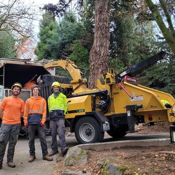 SEATTLE TREE CARE - Updated June 2024 - 246 Photos & 111 Reviews - 4035 ...