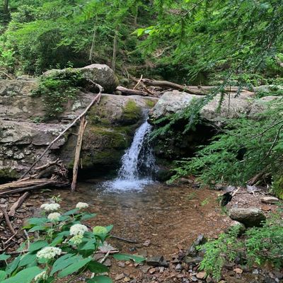 WORTHINGTON STATE FOREST - Updated June 2024 - 168 Photos & 42 Reviews ...