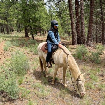WILDERNESS HORSE ADVENTURES - Updated November 2024 - 66 Photos & 29 ...