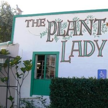 LEUCADIA FLORAL AND PLANT - Updated October 2025 - 22 Photos & 19 ...