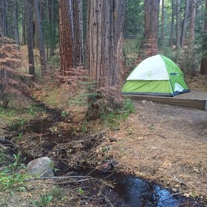 AMERICAN DIMOND O CAMP GROUND - 16 Photos & 22 Reviews - 34660 ...