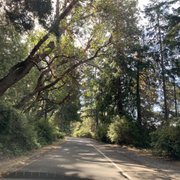 FIVE MILE DRIVE - 51 Photos & 20 Reviews - Five Mile Dr, Tacoma ...