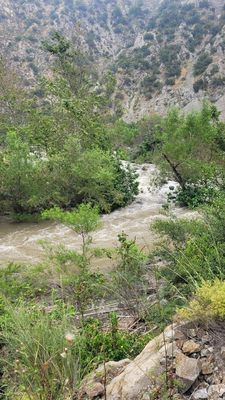 AZUSA RIVER WILDERNESS PARK - Updated December 2025 - 78 Photos & 23 ...