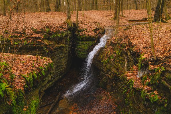 NELSON-KENNEDY LEDGES STATE PARK - Updated December 2025 - 129 Photos ...