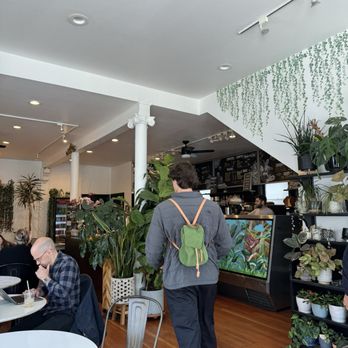 FIDDLE FIG CAFE & COFFEE - Updated July 2024 - 226 Photos & 184 Reviews ...