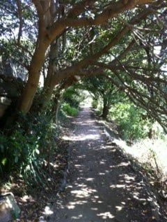 CURLEW CAMP - Updated December 2025 - Little Sirius Cove, Little Sirius ...