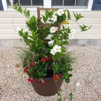 BLOOMIN’ CRAZY NURSERY AND MORE - Updated October 2025 - 22 Photos & 12 ...