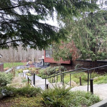 CEDARBROOK LODGE - Updated December 2025 - 539 Photos & 419 Reviews ...