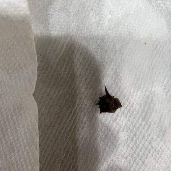 LAS BRISAS TAQUERIA - Updated October 2024 - 127 Photos & 271 Reviews ...