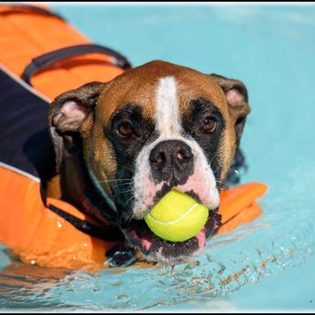 KIM DEVLIN TEAM - ST AUGUSTINE REALTOR - Updated December 2025 - 27 ...