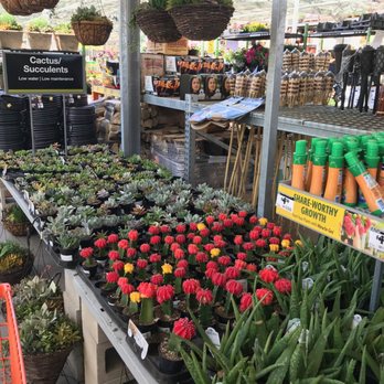 THE HOME DEPOT - Updated May 2025 - 141 Photos & 194 Reviews - 1551 ...