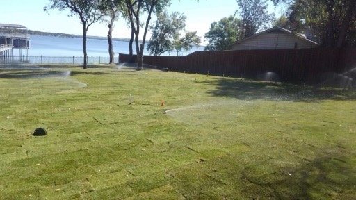 TEX TURF SOD - Updated May 2026 - 15 Reviews - 7701 Davis Blvd, North ...