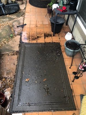 BERRETT PEST CONTROL - Updated December 2025 - 31 Photos & 169 Reviews ...