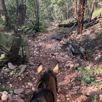 KOHL’S RANCH STABLES - Updated July 2025 - 42 Photos & 26 Reviews - 288 ...